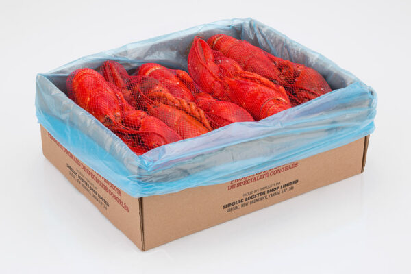 Cooked Lobster (Whole/Netted) | Shediac Lobster Shop Ltd.